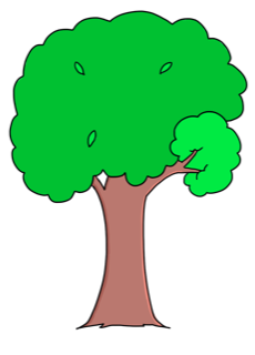 Executive Function - Ready 4 Learning